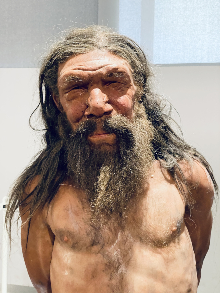 Uomo di Altamura: 30 anni fa la scoperta - Città Nuova